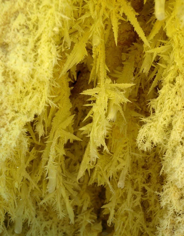 Element 16. (Part I) | by DESH | Dec, 2024 | Medium