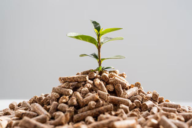 Identify with the Biomass Crops & Energy Crops: TerraVesta.com Makes a ...