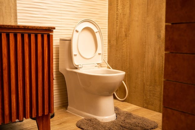Siphonic Closet Advantages and Disadvantages in Germany: A ...