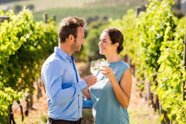Napa Valley Private Driver - Napaprivatedriver - Medium