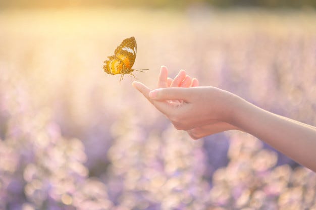 Butterflies That Sing. An American Haiku | by Toni Tails | American ...