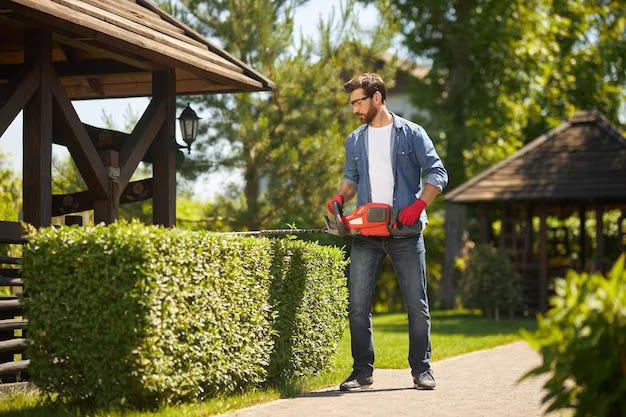 hedge trimming and pruning in Canberra by Glenn Scape Horticulture | by ...