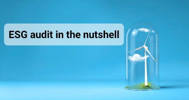 ESG audit in a nutshell. Nowadays, the role of Supreme Audit… | by ...