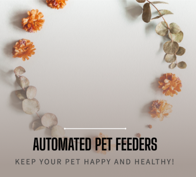 Revolutionizing Pet Care: The Innovative Auto-Feeding System from ...