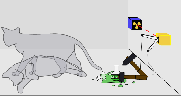 Why the Meaning of Quantum Mechanics Really Matters | by Harrison ...