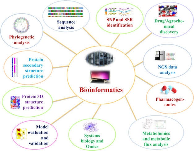 Bioinformatics :. Bioinformatics | by Biotech Studs | Jun, 2024 | Medium Bioinformatics :. Bioinformatics | by Biotech Studs | Jun, 2024 | Medium