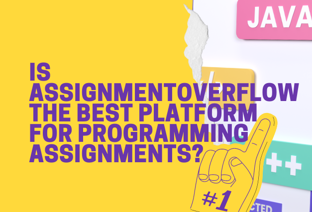 Is AssignmentOverflow the Best Platform for Programming Assignments? | by Smithaydon | Medium