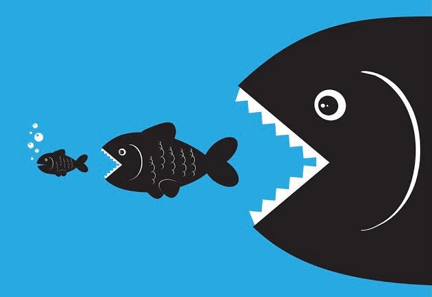 The Big Fish Eat the Little Fish. Predator | by Stephen W T | Medium