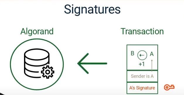 Algorand for Software Architects and .NET developers — Part 4 — Signatures | by Frank ...