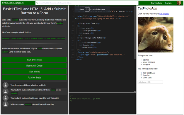 My ‘Free Code Camp’ Experience….. | by SAGAR PATEL | Medium