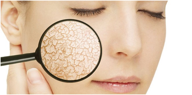 Beauty Tips for Dry and Dull Skin | by Hecmo India | Medium