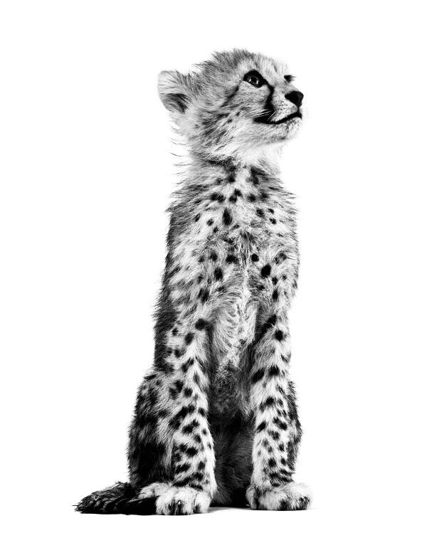 BigQuery SQL performance tips | Towards Data Science