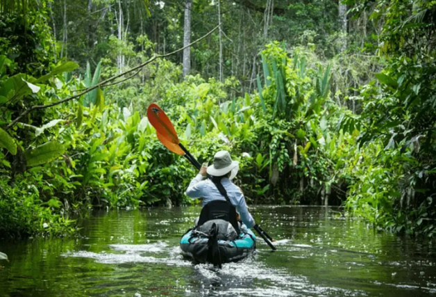 The Amazon River: Unveiling the Terror of the 'Human Forbidden Zone ...