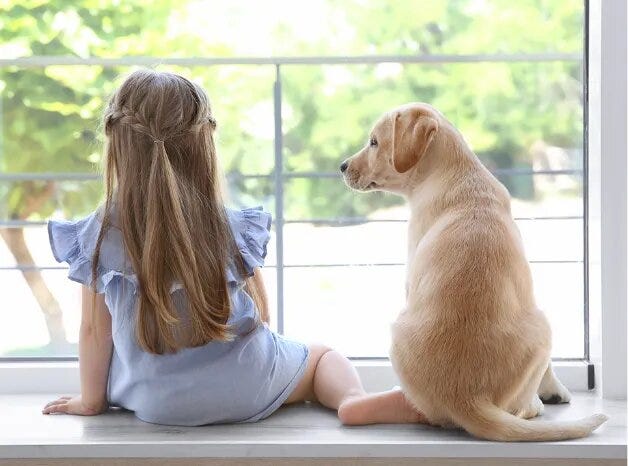 5 Cliches About Roofing Company You Need To Prevent | by Mighty Dog ...