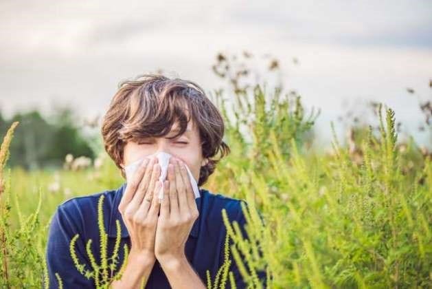 Pollen allergy - Healthtopicnews - Medium