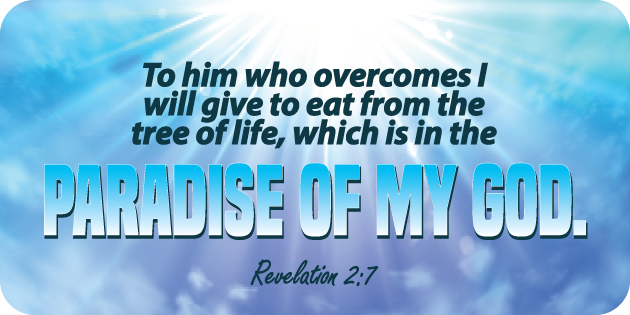 Revelation 2:7 | by Scott Loop | Medium