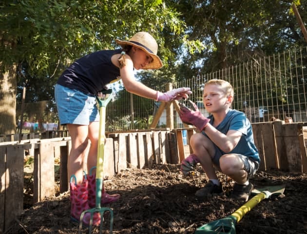 Gardening 101: 18 Useful Terms!. Gardening season is upon us in Canada ...