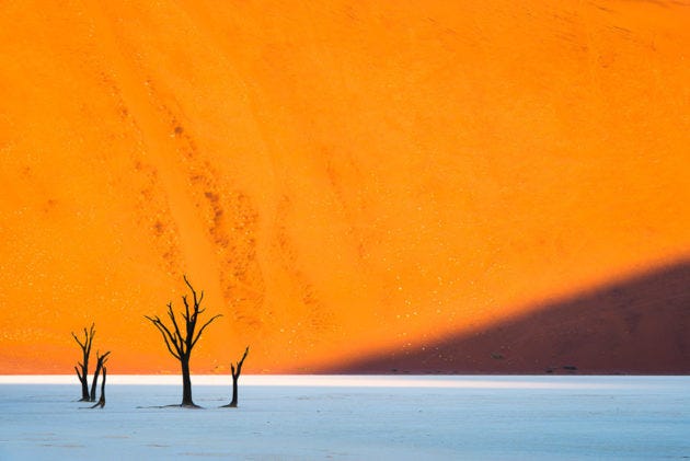 Part 1: The Photographic Message with Rafael Rojas | by Topaz Labs | Medium