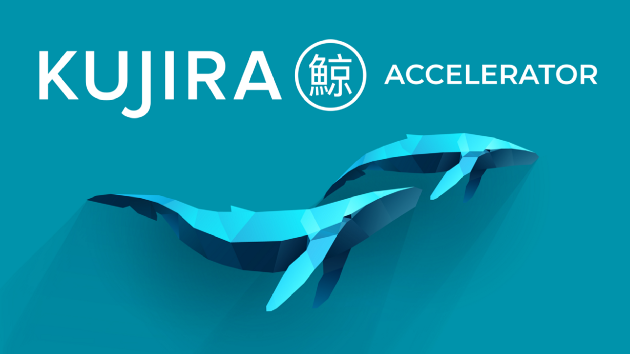 KUJIRA LABS — TEASER DEL ACELERADOR KUJIRA | by KujiraEnEspañol | Medium