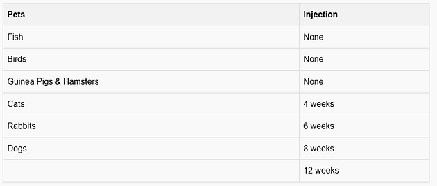 COM4015 Pet Shop Relational Database Design & Implementation Assignment Report — Inventory ...
