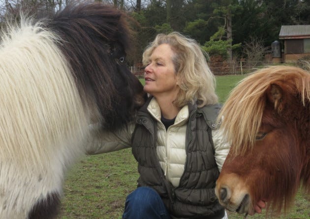 The Enchanting Tale of Mane Chance Sanctuary — A Loving Home for ...