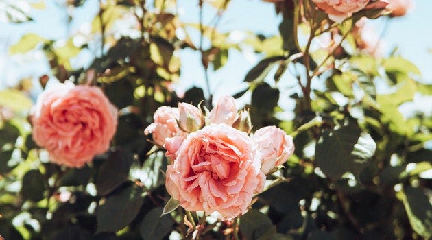 No regrets.. I’ve been feeling down, tired , and… | by Yanisa Poongthaisong | Medium