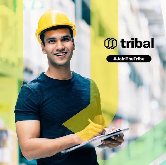 TRIBAL is a Crypto-powered financial tools for rising market businesses ...