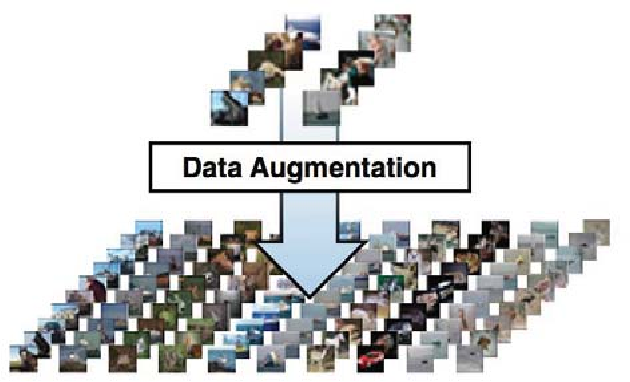 Performing automated data augmentation | by Andres reyes | Medium