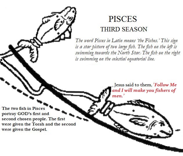 Pisces in the Zodiac Prophecy. The first sign for the Third Season of ...
