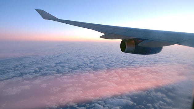 FLYING HOME. | by becca franklin | Medium
