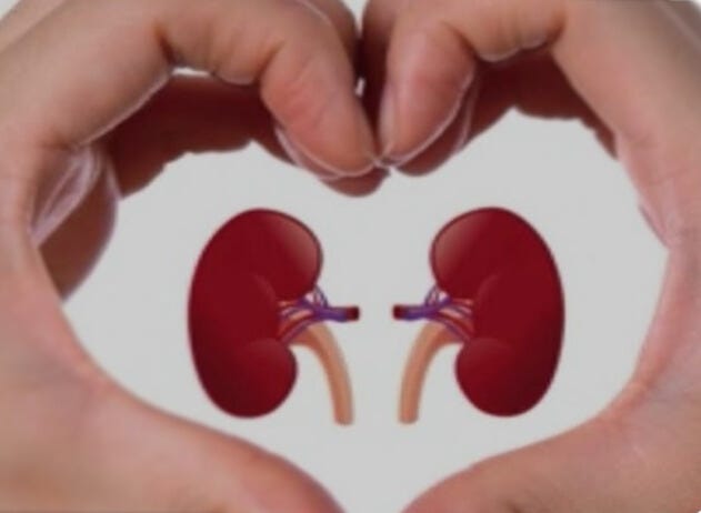Kidney Solution Review: The Best Digital Solution for Maintaining ...