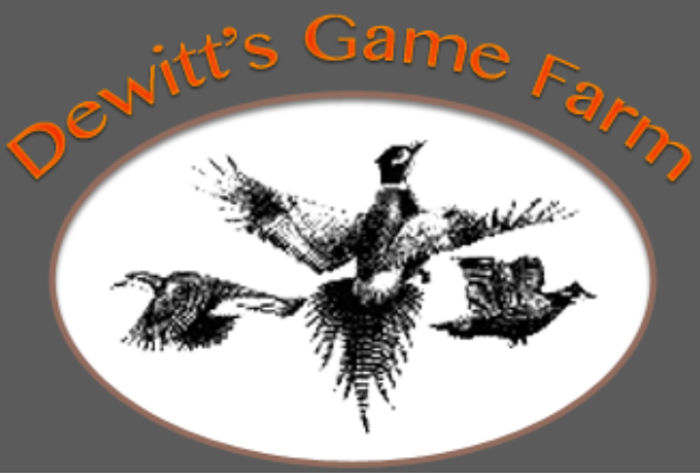 A “Hobby That Got Out of Hand” DeWitt’s Game Farm | by Kylie McDonald ...