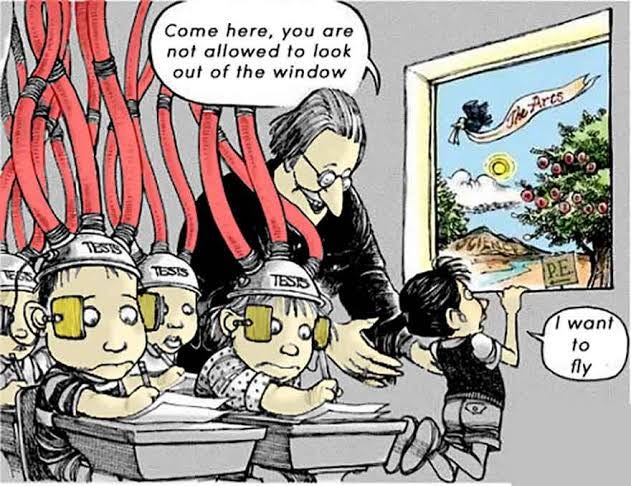 How Our Education System Kills Children’s Curiosity and Creativity | by ...
