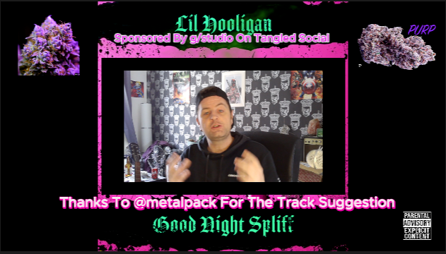 Tales From The Pit: The Lil Hooligan Story | by LilHooligan | Medium