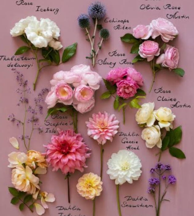 Beauty and Importance of Flowers From nature's most vibrant creations ...