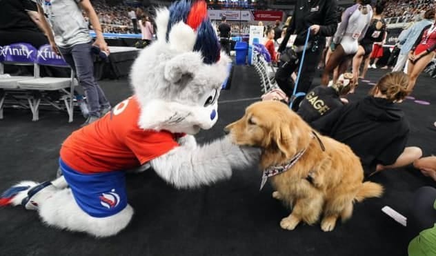 Gymnastics at the Olympics: Why Beacon the therapy dog became essential ...