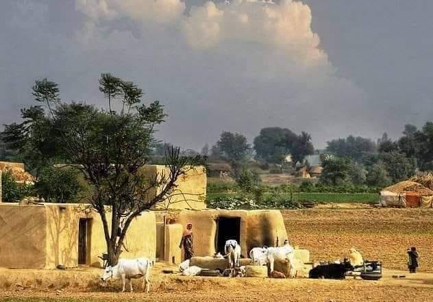 Villagers Life: A Glimpse into Village Living | by Sabir Latif | Wake. Write. Win. | Medium