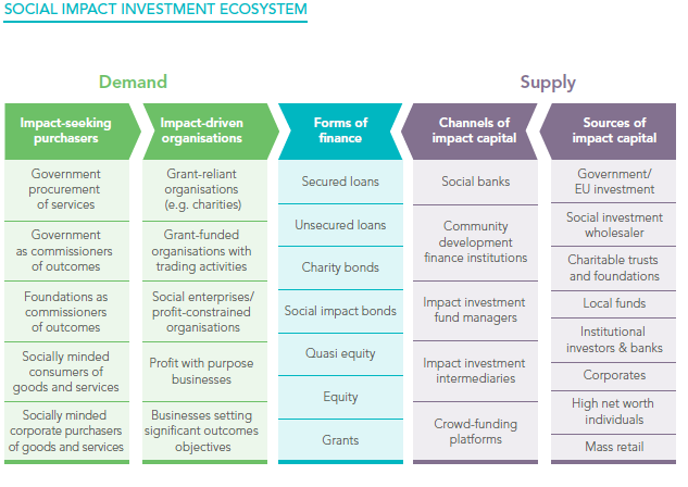 Impact Investing Part 2. The Ecosystem: Identifying the… | by Shivam ...