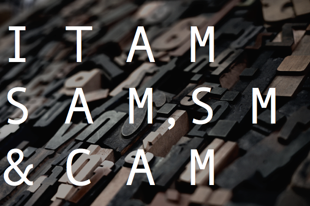 What’s the difference between ITAM, SAM, SM and CAM? | by Lauren Alweis ...