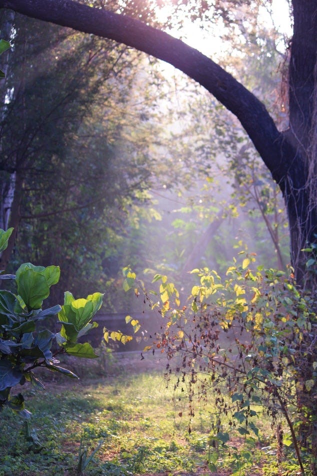 Onward and Upward To A Bright New Future For Writers | by Li ...