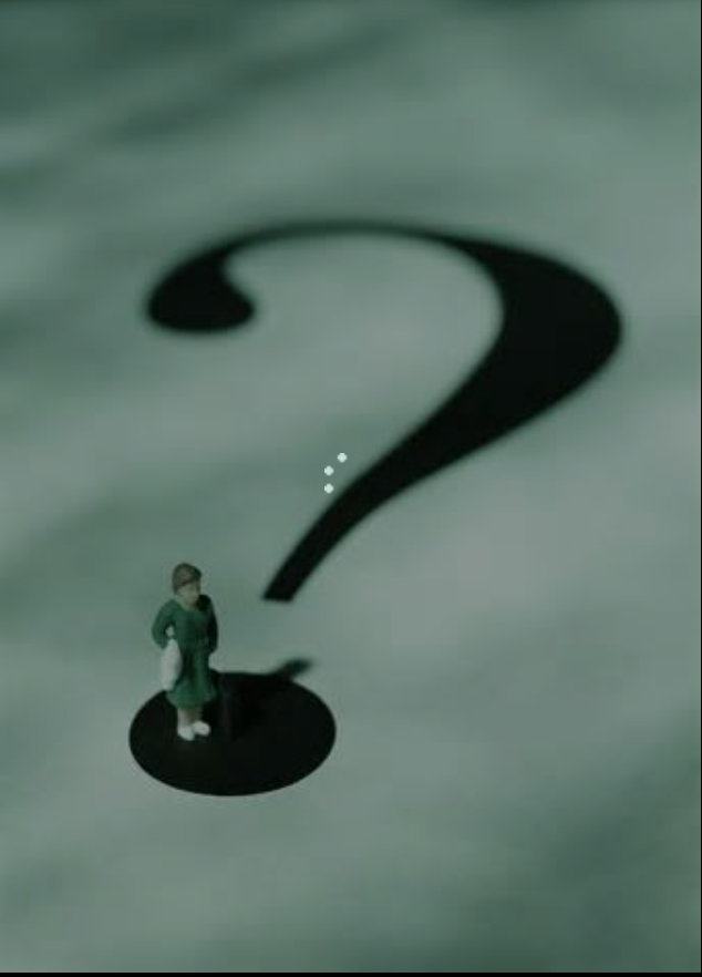 Answering the big question — WHY? | by Judy Copenbarger | Medium