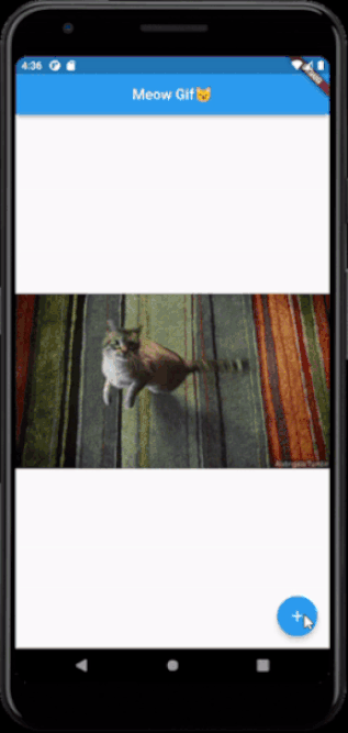 Romkatt Gif