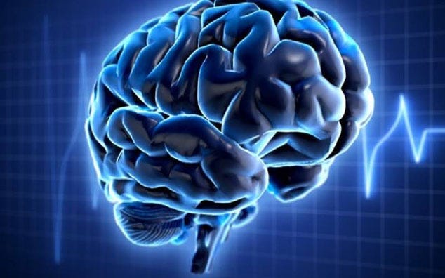 Can You Really Reverse Brain Aging? | by Dr. Dennis Clark | Medium