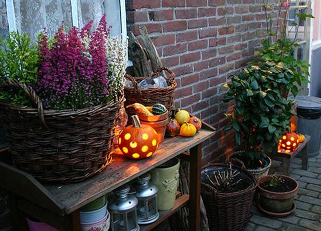 What to do in small gardens in November? | by Diva By Kitchen | Medium