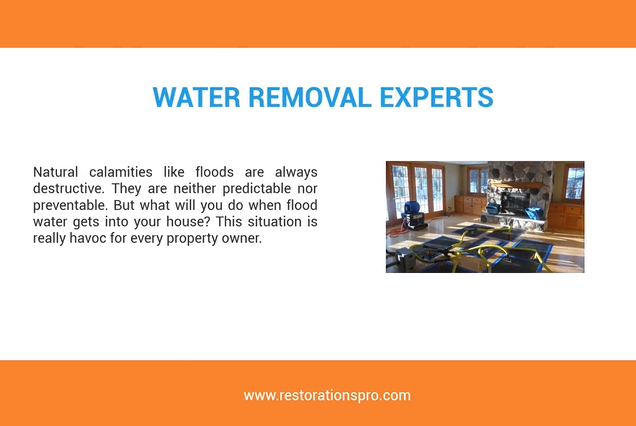 Water removal experts - Restorationspro - Medium