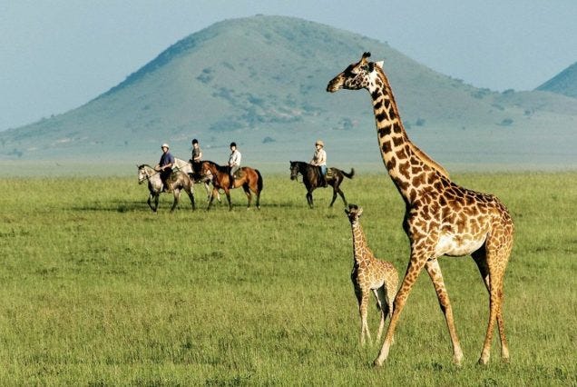 National Parks And Reserves To Visit In Africa! | by Smiles Travel ...