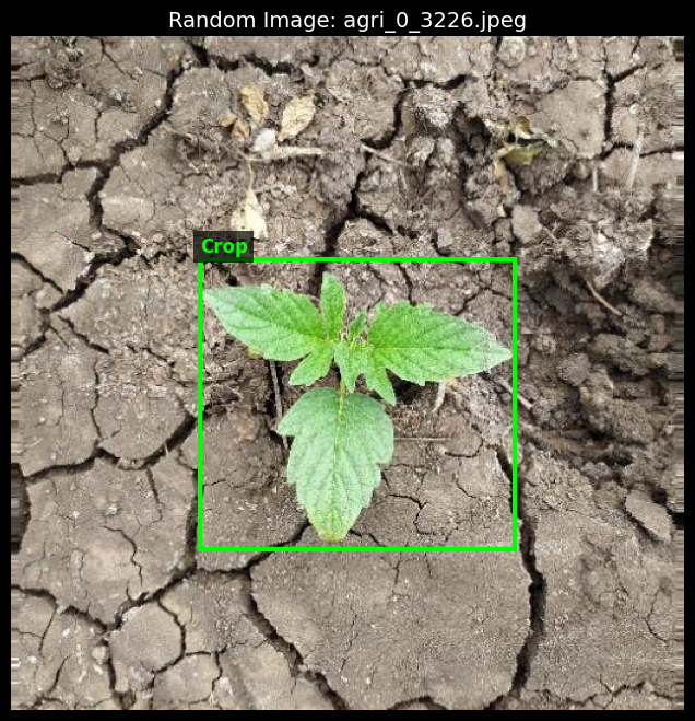 Understanding Image Annotation Formats for Object Detection | by Brian ...