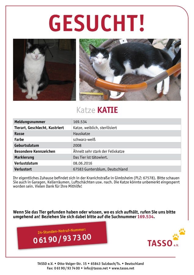 The Power of different Media in the Case of a Missing Cat | by Rebecca ...