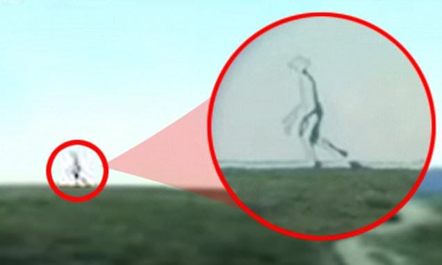 Ufologists Say 8-Foot Humanoid Aliens From Proxima B Have Visited Earth ...
