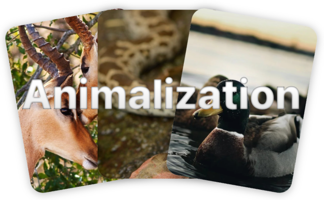 How to make a flashcard app with Swift UI | by Liyicky | Medium
